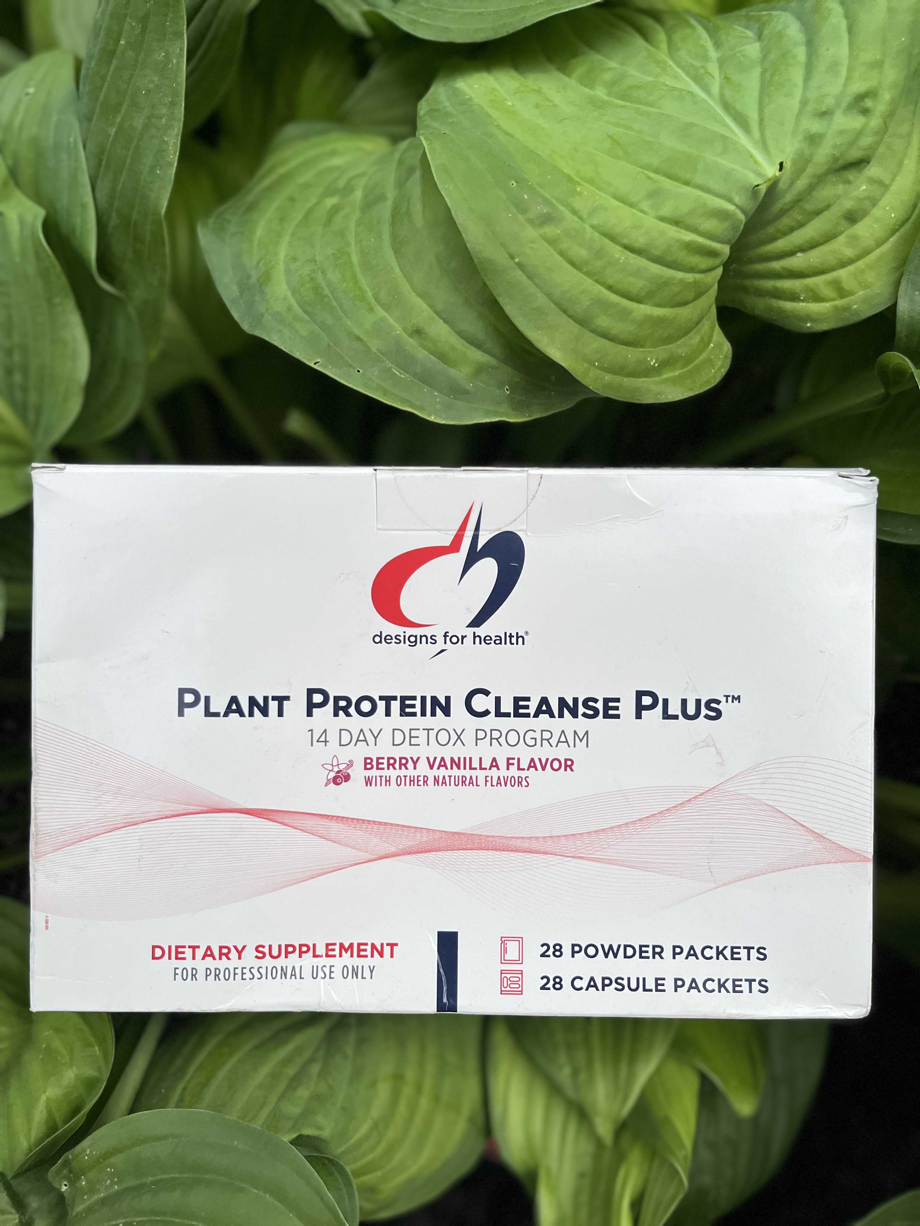Plant Protein Cleanse Plus Detox Program – Basis Holistics